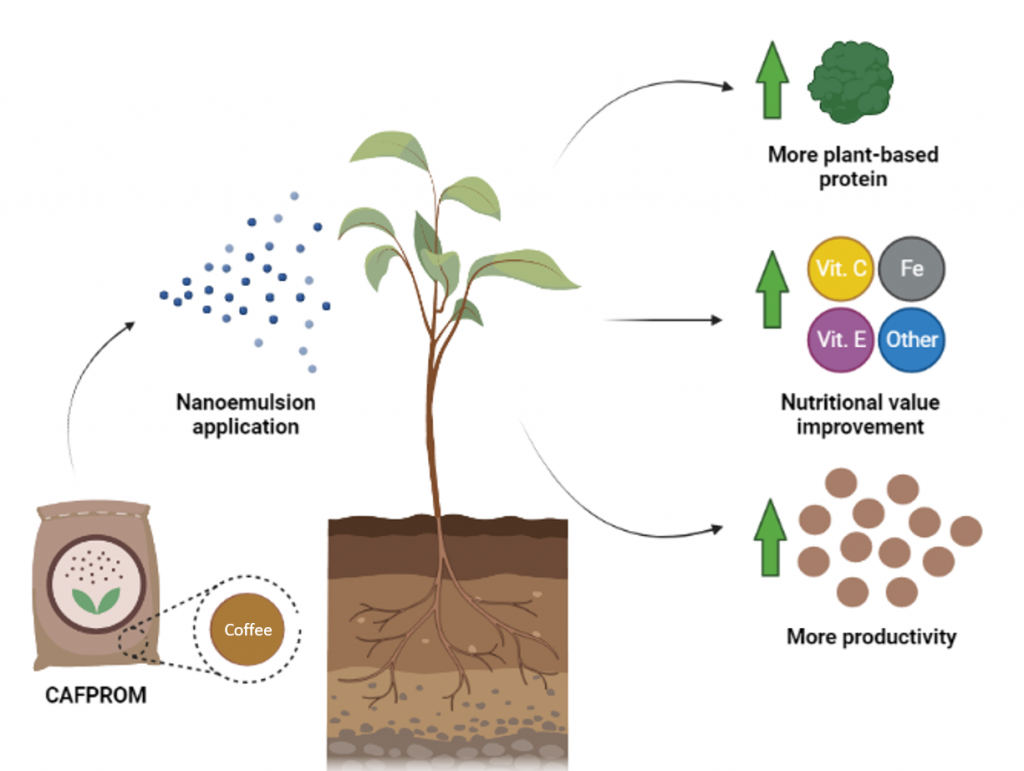 Projects – PLANTsynergy
